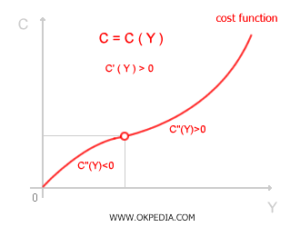 Cost Function - Okpedia